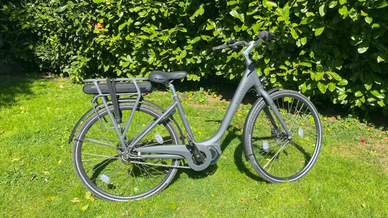 Ridgeback X2 Open Frame 2024